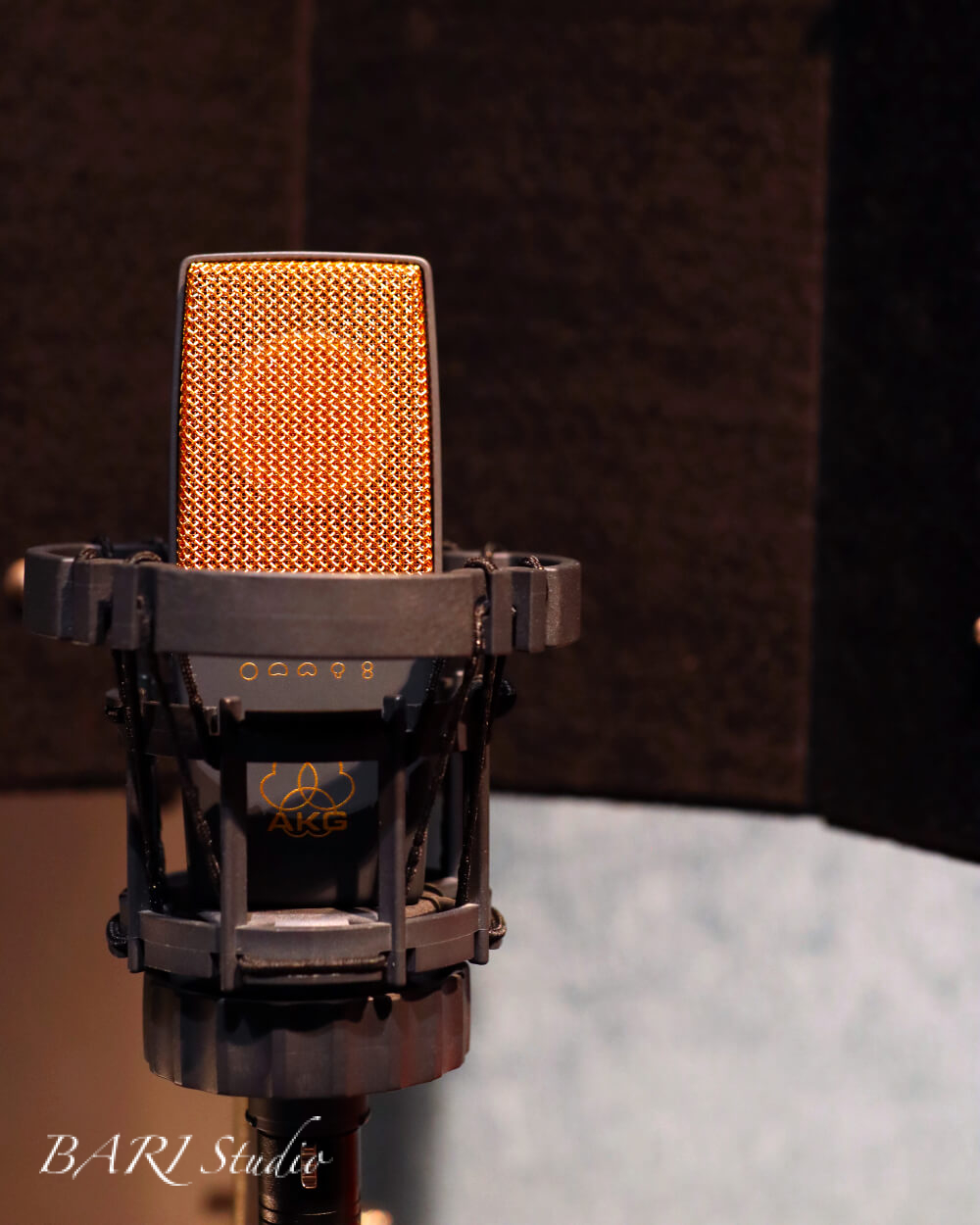 BARI Studio – バリスタジオ Enjoy your music life in Your Own Style!